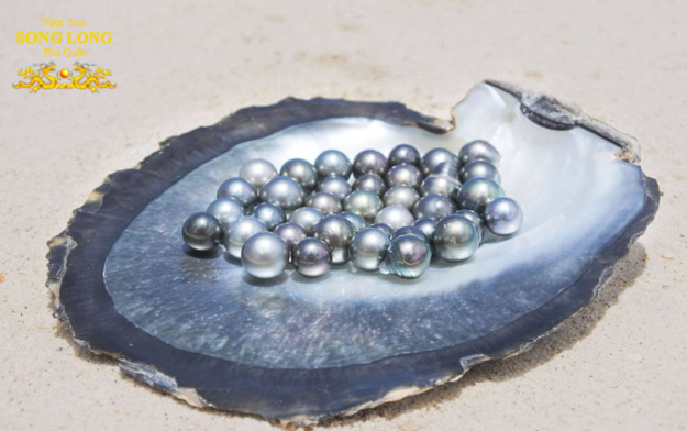 Dây Chuyền Ngọc Trai Đen: Xu Hướng Thời Trang Cao Cấp